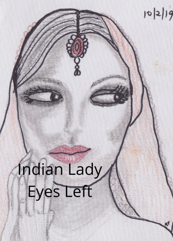 Indian Lady Eyes Left - Ally Thomas